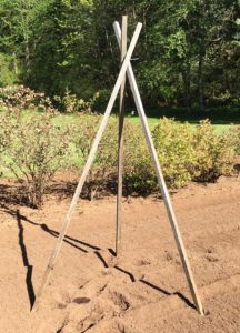 Easy DIY Pole Bean Towers For Your Garden - Fluxing Well