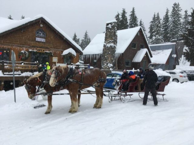 Timberline Lodge: A Year Round Iconic Oregon Getaway - Fluxing Well