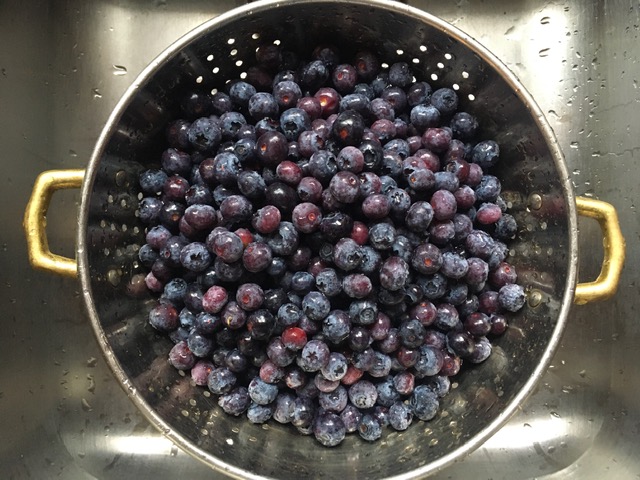 Easy Homemade Canned Blueberry Syrup Recipe - Fluxing Well