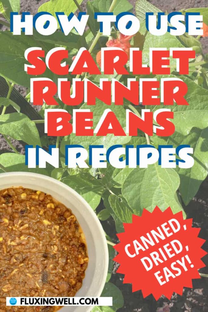 Scarlet Runner Beans Recipes: Canned, Dried, Easy - Fluxing Well
