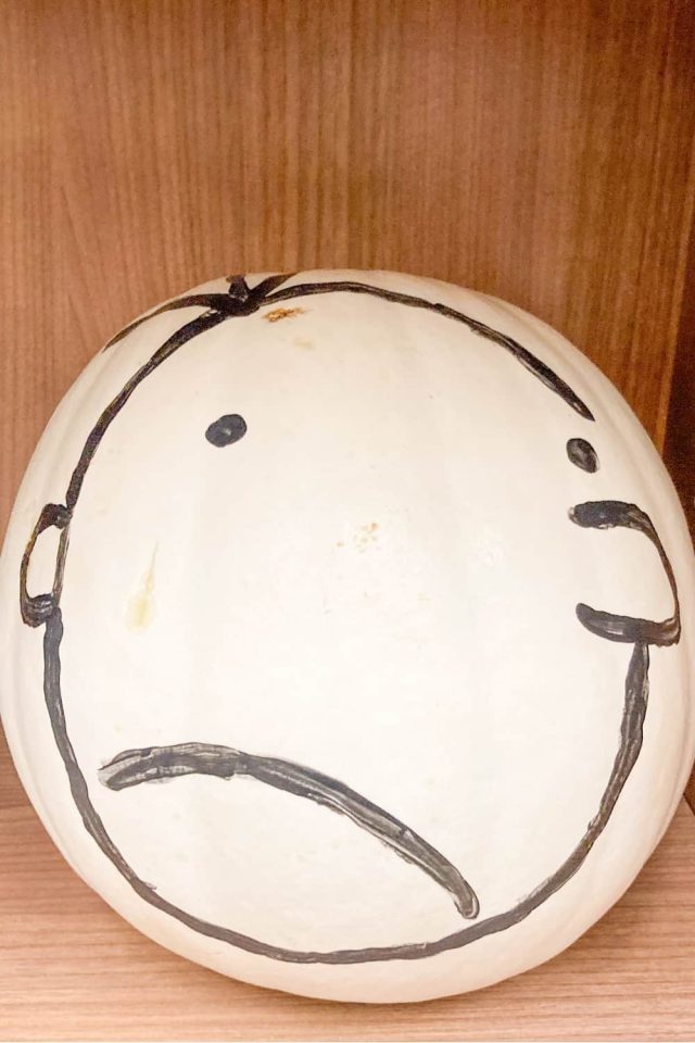 40 Easy Book Character Pumpkins (Clever and Fun!) - Fluxing Well
