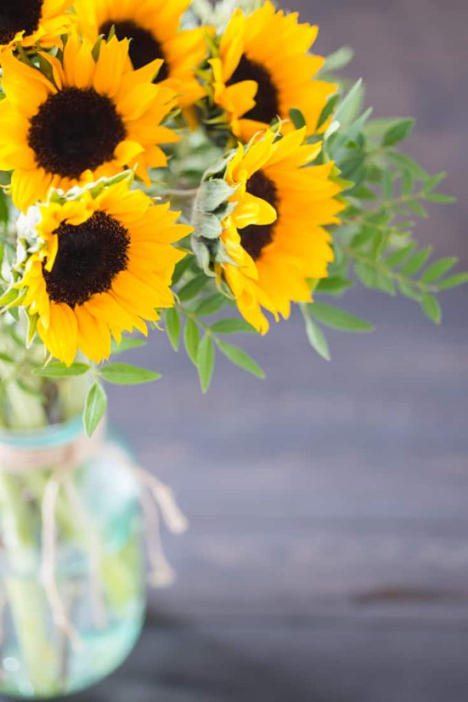 60 Sunflower Party Theme Ideas: Fun and Easy - Fluxing Well