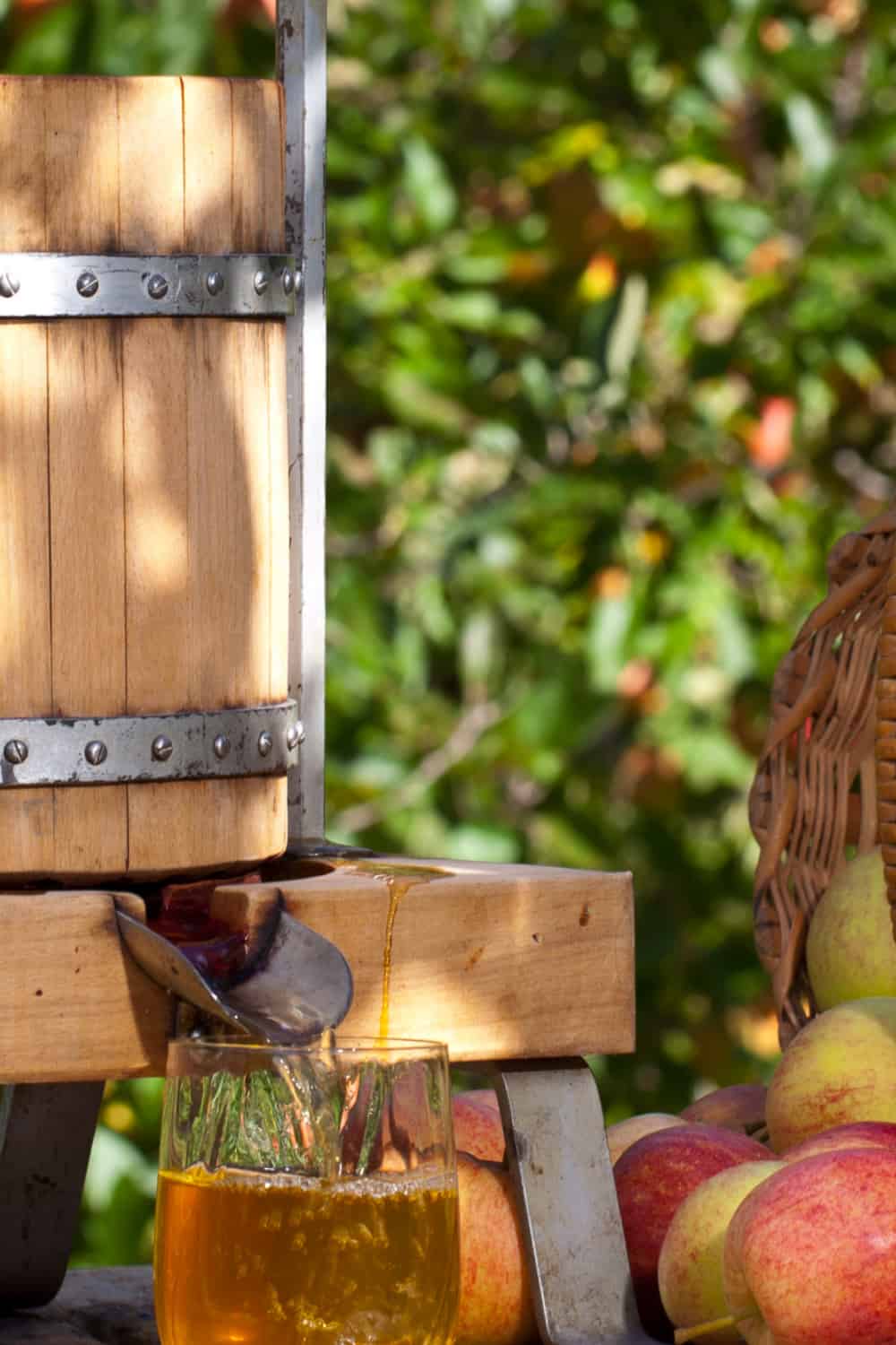 125 Apple Themed Party Ideas: Easy and Fun - Fluxing Well