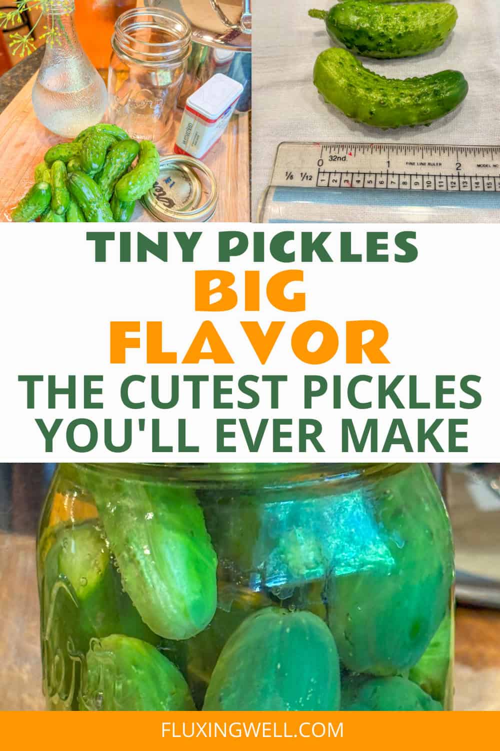 Cute Pickles: Easy Homemade Gherkins by the Pint - Fluxing Well