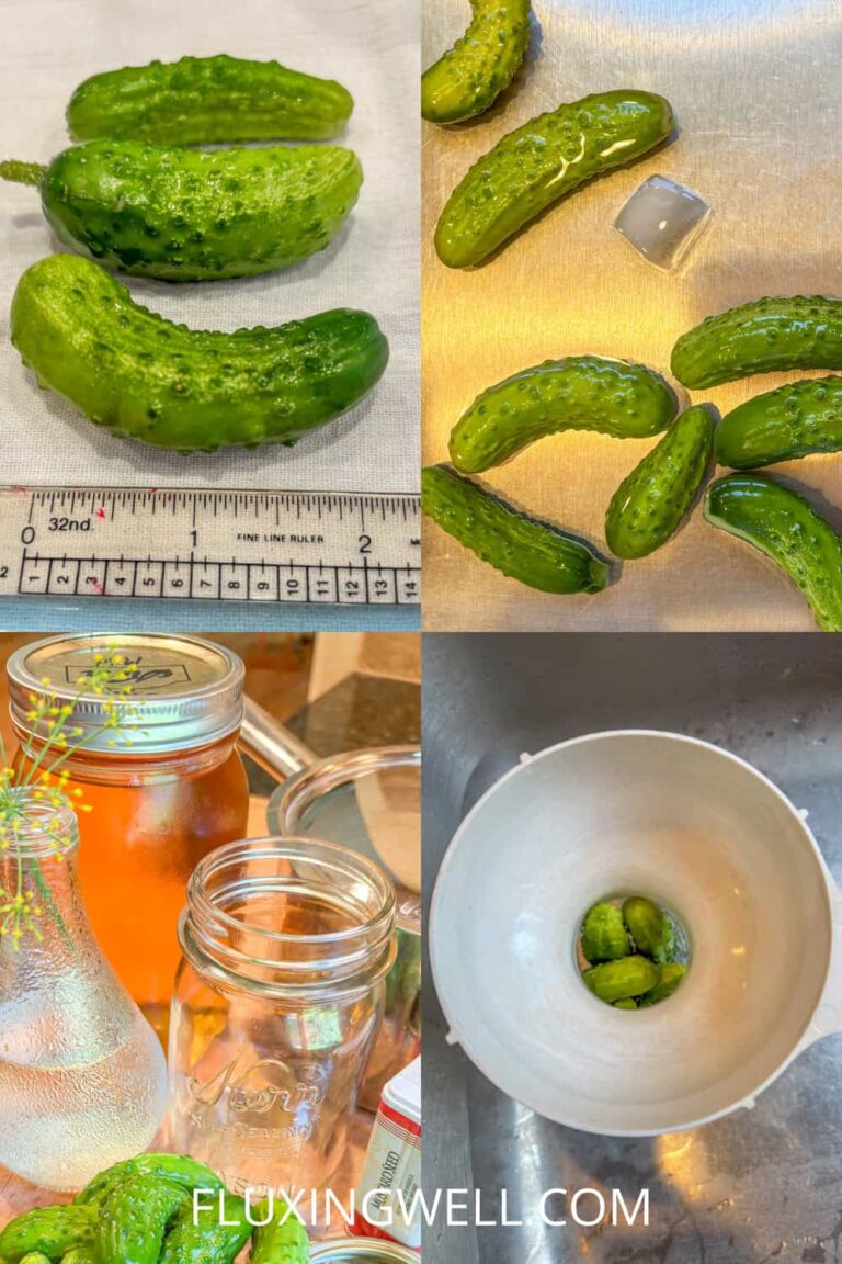 Cute Pickles: Easy Homemade Gherkins by the Pint - Fluxing Well