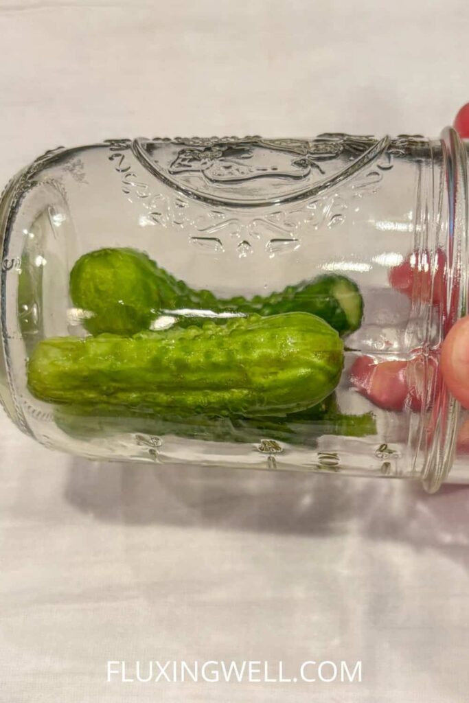 Cute Pickles: Easy Homemade Gherkins by the Pint - Fluxing Well