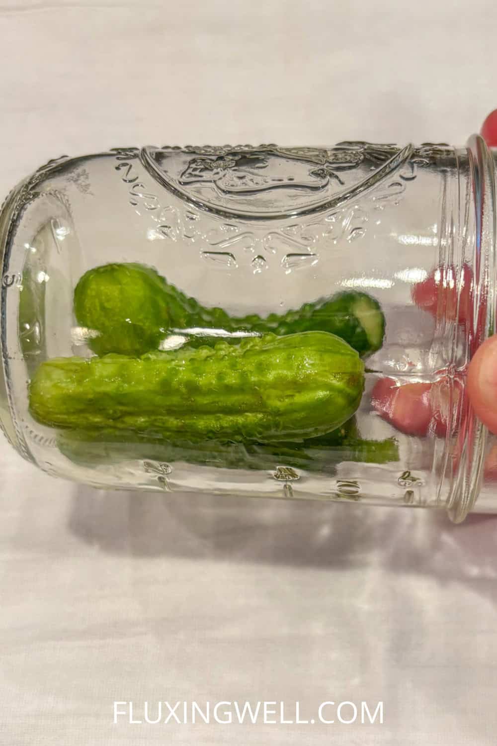 Cute Pickles: Easy Homemade Gherkins by the Pint - Fluxing Well