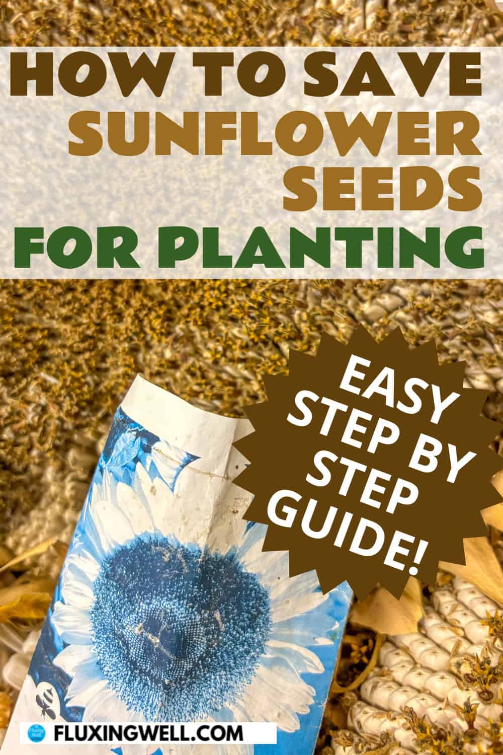 Saving Sunflower Seeds: Easy Guide for Busy Gardeners - Fluxing Well