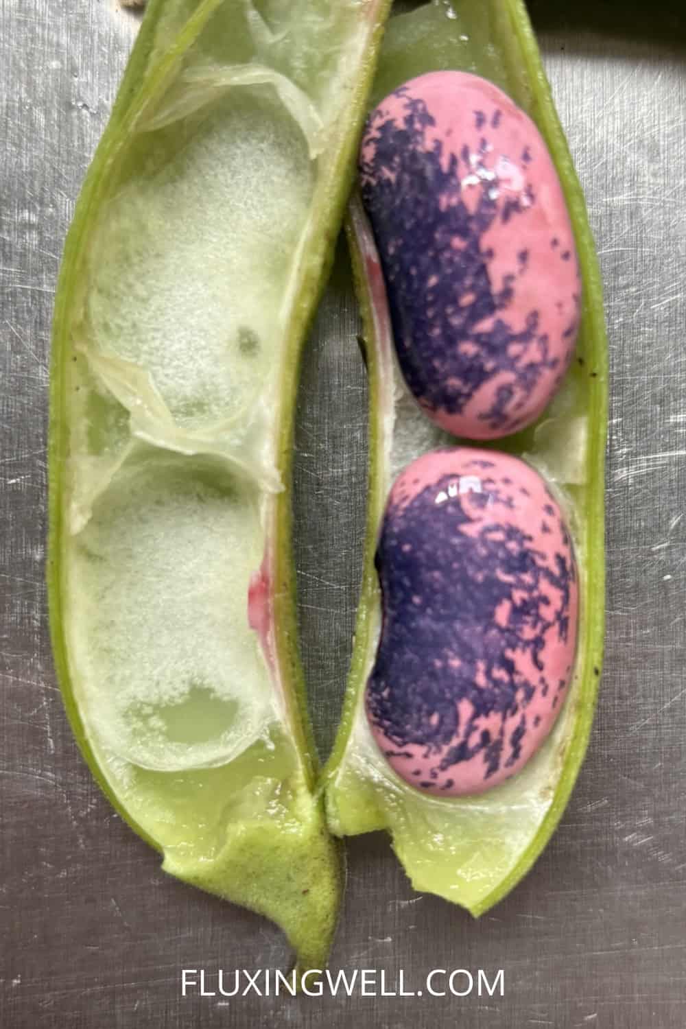 Runner Bean Soup: Easy, Hearty Crock Pot Recipe - Fluxing Well