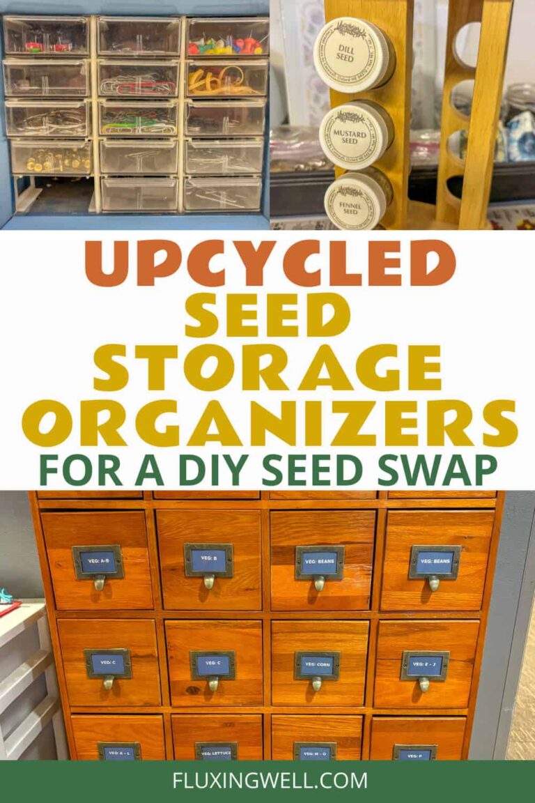 Seed Exchange Library: Easy DIY Ideas - Fluxing Well