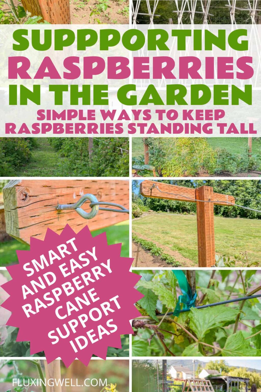 Supporting Raspberries: Easy DIY Solutions - Fluxing Well